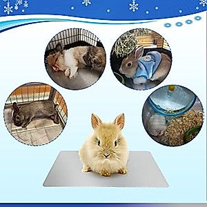FIPASEN Rabbit Cooling Pad, 11.8x7.9 in Hamster Cooling Mat Pet Cool Plate for Rabbit Bunny Hamster Guinea Pig & Other Small Pets Stay Cool This Summer - Bite Resistance Pet Cooling Pad Ice Bed