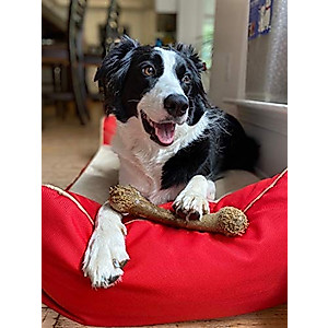 Pet Qwerks Alien BarkBone - Nylon Dog Bone for Aggressive Chewers - Beef Stew Flavor - 7.75"