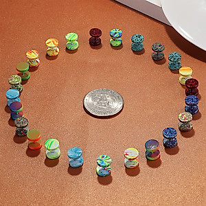 FIBO STEEL12 Pairs Faux Gauge Earrings Stainless Steel Stud Earrings for Men Women Cheater Fake Ear Plugs Gauges Tunnel