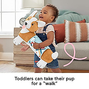 Fisher-Price Baby Tummy Time Toys, 3-in-1 Plush Puppy Wedge with BPA-Free Teether Rattle and Mirror Toys