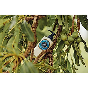 L'Occitane Moisturizing 15% Shea Butter Body Rich Lotion | Nourish and comfort | Protects skin from dryness | 8.4 Fl Oz