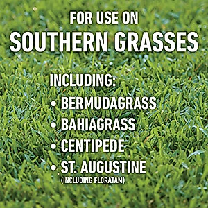 Roundup for Lawns₄ Refill (Southern) - All-in-One Weed Killer for Lawns, 1 gal.