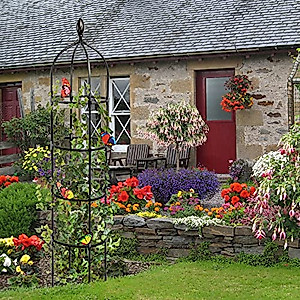 WellSign Obelisk Trellis for Climbing Plants Outdoor 6ft, Garden Tower Trellis for Potted Plants Indoor with Twist Tie, Clips and Butterflies Rustproof Coated Metal Support for Vines Rose 2Pack