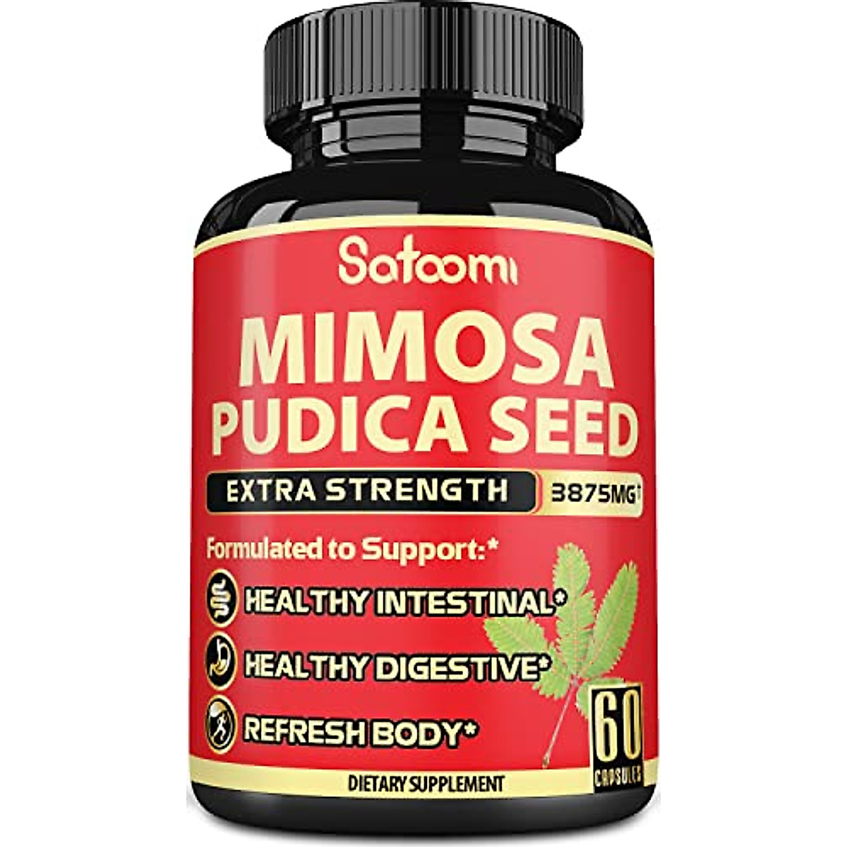 Natural Mimosa Pudica Seed Capsules - 7 Herbs - Equivalent to 3875mg with Oregano, Garlic, Neem Leaf, Black Walnut Powder, Clove Powder, Guduchi Powder - 1 Pack 60 Capsules for 2 Months