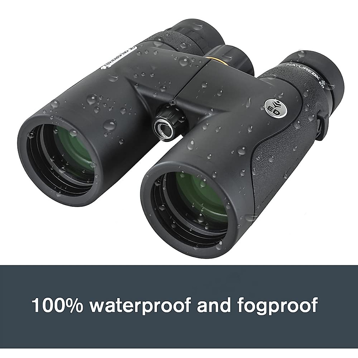 Celestron–Nature DX ED 8x42 Premium Binoculars –Extra-Low Dispersion Objective Lenses –Outdoor and Birding Binocular–Fully Multi-Coated with BaK-4 Prisms–Rubber Armored – Fog & Waterproof Binoculars