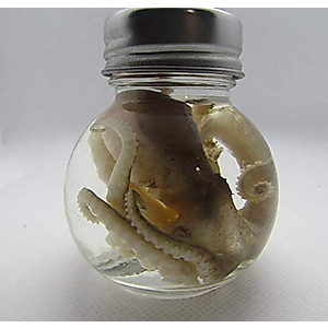 Wet Specimen Taxidermy Octopus Kraken Oddities Ball jar Preserved Specimen