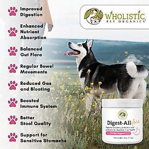 Wholistic Digest-All Plus Dog Probiotics & Digestive Enzymes - 4 Oz - Cat Probiotics for Digestive Health - Dog Supplement Powder for Homemade Food