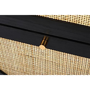 Rattan 2-Drawer Shoe Cabinet Modern Freestanding Shoe Rack Organizer Wooden Entryway Narrow Shoe Storage Cabinet w/Natural Rattan Flip Doors for Closet Hallway Small Space(1 Pack-Black)