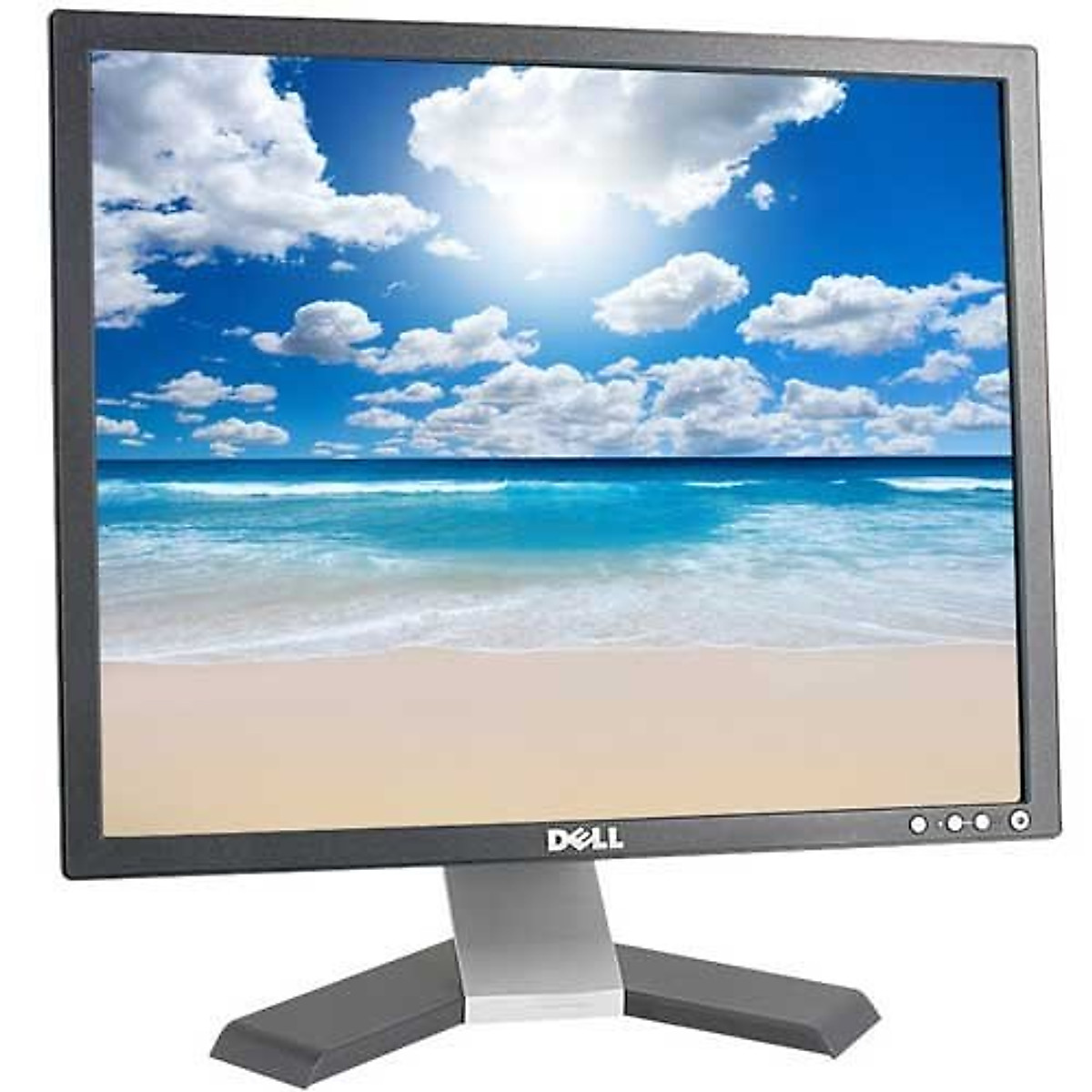 DELL E198FPF SVGA 19 LCD Black REGULAR STAND