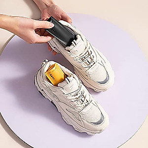 Dsisskai 1 pcs Shoe Deodorizer Insert, Reuasble Shoes Desiccant Deodorant Smell Remover, Closet Moisture Absorber Supplies,