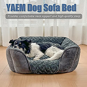YAEM Dog Beds for Small Dogs, Swirl Rose Velvet Small Dog Bed, Removable Cushion Calming Dog Sofa Beds, Anti-Anxiety Machine Washable Anti-Slip Dog Beds Cat Beds, Dark Grey - S (20"x18"x6")