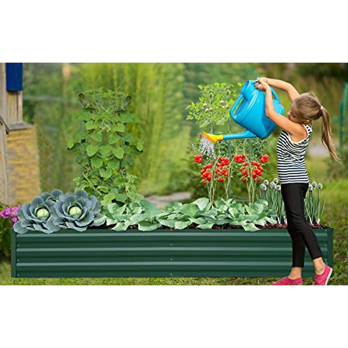 SONFILY Raised Garden Bed Outdoor,Raised Garden Bed for Gardening Garden Boxes Outdoor Metal Raised Garden Beds Galvanized Outdoor,6x3x1ft Green with 2 Packs Plant Support and 1 Pack Glove.