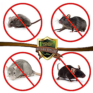 Mice & Rat Repellent. Peppermint Repellent for Mice/Mouse, Rats & Rodents. Natural Spray for Indoor & Outdoor Use. 128 OZ Gallon Trigger Sprayer Ready to Use