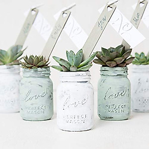 WEDDINGSTAR Mini Love Mason Jar with Lid - 6 Pack