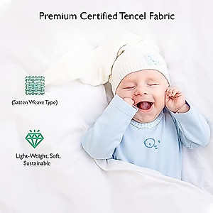 LINENWALAS 100% Organic Tencel Lyocell Silk Pillow Cases Standard Size, 2 Pack Soft, Breathable, Eucalyptus Cooling Pillowcases Set Queen Size with Envelop Closure (Burnt Orange, 20x30 Inches)