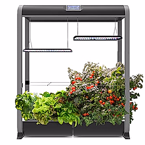 AeroGarden Farm 24XL with Salad Bar Seed Pod Kit - Indoor Garden with LED Grow Light, Black & Be The Bee Pollinator