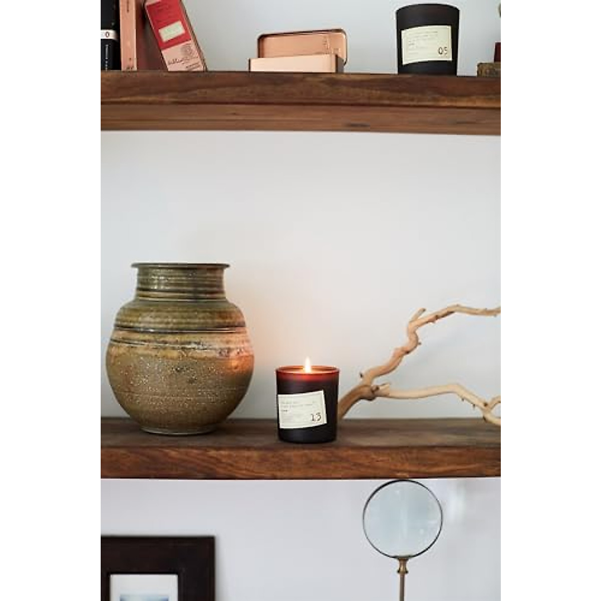 Paddywax Library Collection William Shakespeare Scented Soy Wax Candle, 6.5-Ounce, Paprus, Palm & Eucalyptus