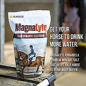 MagnaLyte Loose Salt and Electrolytes for Horses by Eagle Equine | Mineral sea Salt, Trace Minerals, Electrolytes | 6 lb Bag