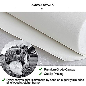 iKNOW FOTO Canvas Print Wall Art Black and White Freedom Highland Cow Pictures Funny Animal Painting Stretched and Framed Artwork for Home Office Decor Ready to Hang 24x36inch