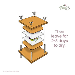 Petal Co Wooden Flower Press 7inch x 7inch with Frame for pressed flowers and leaves including Ultimate Guide to Flower Pressing