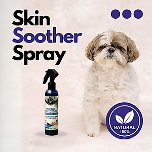 Simply Silver Skin Soother Spray for Dogs Sensitive Skin - All Natural with Colloidal Silver and Yarrow, Relieves Burning and Itching, Non-Toxic, Alcohol and Chemical Free