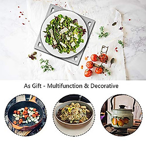 Square Cast Iron Trivet Gray Metal Trivets for Kitchen Dining, Hot Pot Holder Hot Pads for Table & Countertop - Heat Resistant Teapot Trivets