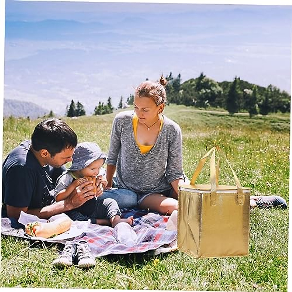 CHILDWEET Food Bag Catering Bag for Food Deliveries Lunch Tote Bag Grocery Shopping Bag Car Insulated Bag Zipper Food Bag Insulated Shopping Bags Hot Bags Golden Non-woven Fabric