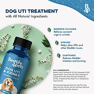 Dog UTI Treatment, Bladder & Kidney Support - Natural Incontinence and Bladder Control for Dogs Reduces Urinary Tract Infections, Flush Out Kidney Stones & Improves Dog Kidney Health - 400 Tiny Pills