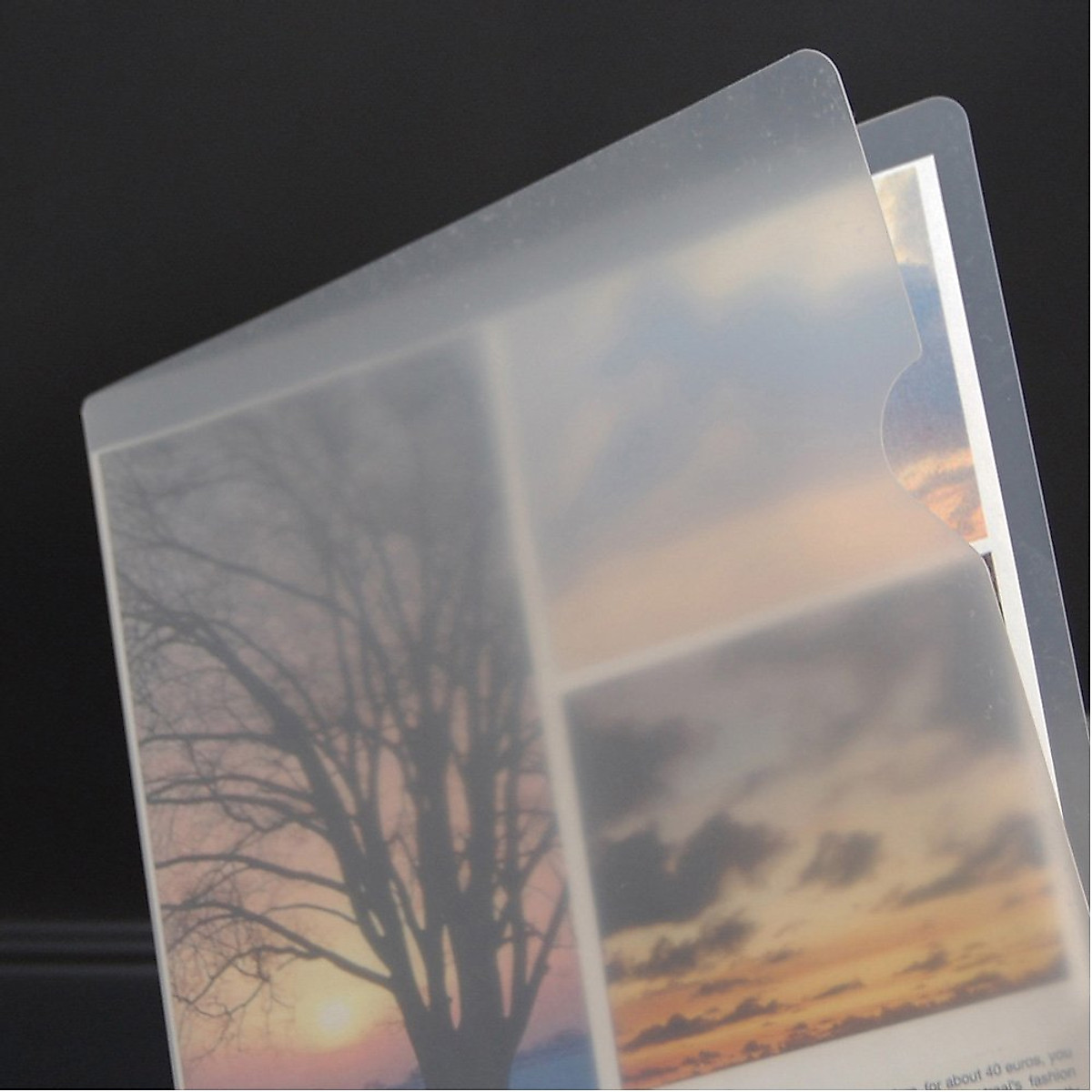 キングジム(Kingjim) King Jim A4S 735RD10 A4S Clear Holder Recycled Thick