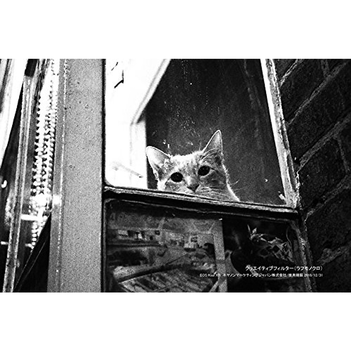 Canon DSLR Camera EOS Kiss X7i with EF-S18-55mm IS STM - International Version (No Warranty)