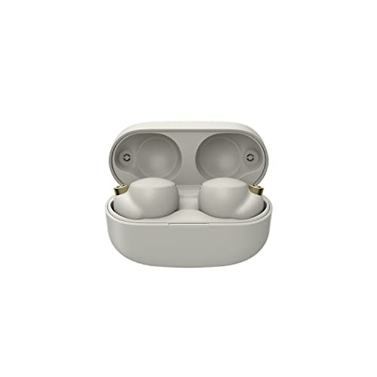 Sony WF-1000XM4 Industry Leading Noise Canceling Truly Wireless Earbud Headphones with Alexa Built-in, Silver