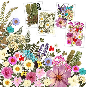 Resiners 100Pcs Dried Pressed Flowers for Resin Molds, Real Pressed Flowers Dry Leaves Kit for Art Crafts Resin Jewelry Making Scrapbook Supplies Card Making Soap Candle DIY