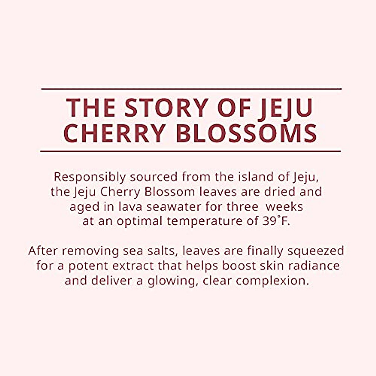 innisfree Cherry Blossom Dewy Glow Emulsion Face Moisturizer