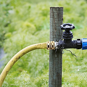 Lifynste 2 Pack 3/4" Heavy Duty Brass Garden Hose Adapter with Dual Swivel for Male Hose to Male Hose, Double Female