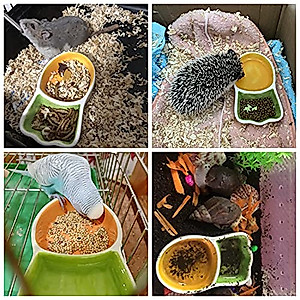 Hamster Food Bowl - Ceramic Small Animals Food Dish and Water Bowl Chew Resistant Food Bowls Water Feeder for Hamster Rat Hedgehog Gerbil Mice Squirrel Sugar Glide Birds (Small Carrot)
