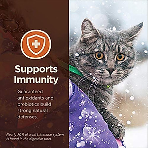 Wellness CORE Digestive Health Wholesome Grains Probiotic Coated High Protein Dry Cat Food, Chicken & Rice Dry Cat Food, 11 Pound Bag