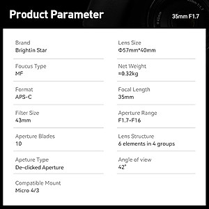 Brightin Star 35mm F1.7 Wide-Angle Manual Focus Prime Lens for Panasonic Olympus Micro 4/3 Mirrorless Cameras, MFT APS-C Large Aperture, Fit for LUMIX G7, G7KS, GX85, GX9, G95, GH5, GH6, G100, G9