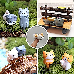 Mini Cute Tuxedo Small Cat Figures Decor, Miniature Fairy Garden Cat Succulent, 12 Pcs Lovely Cat Figurines For Cat Lovers, Tiny Terrarium Animal Statues Ornaments For Home Decoration Micro Landscape