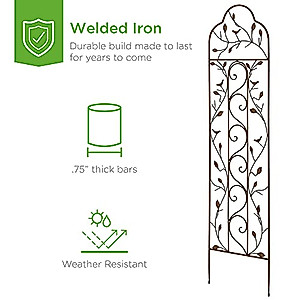 Best Choice Products 60x15in Iron Garden Trellis, Arched Outdoor Decoration w/Branches, Birds for Lawn, Garden, Backyard, Climbing Plants - Bronze