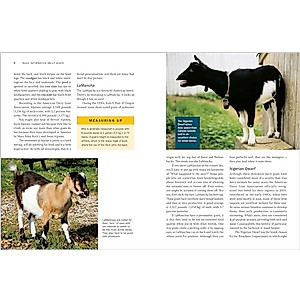 Storey's Guide to Raising Dairy Goats, 5th Edition: Breed Selection, Feeding, Fencing, Health Care, Dairying, Marketing