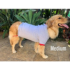 Short Sleeve Shirt for Dogs New! from POP FOR PETS (Large Red) - Better Than The Cone! POPforPETS Cotton Shirt for Larger Dogs. The Most Comfortable Alternative for Recovery!