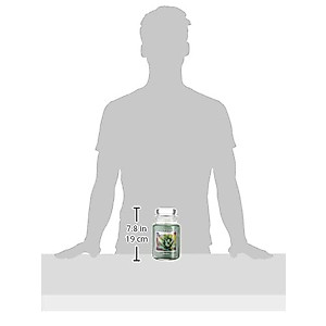 Village Candle Awaken, Large Glass Apothecary Jar Scented Candle, 21.25 oz, Green