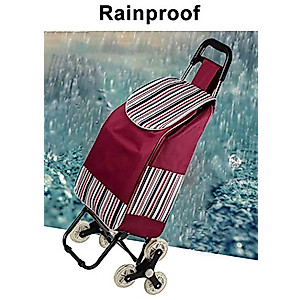 Collapsible Folding Wagon, Shopping Trolley, Folding Shopping Cart on Wheels Large and Lightweight Utility Trolley with Swivel Front Wheels,Detachable