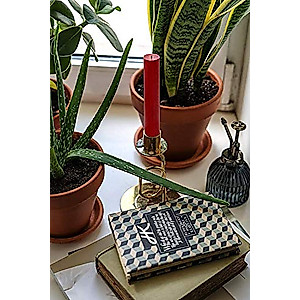 Hyoola 10 Inch Dinner Candles - 12 Pack - Red Tall Candles - Unscented Rustic Candles - Long Burning Candle Sticks