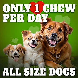 Probiotics for Dogs (1 Chew Per Day - 30 Day Supply) Soft Chews for Dog Digestive Health Prevents Diarrhea, Allergies. Probiotic for Healthy Stomach, Gut & Overall Wellbeing
