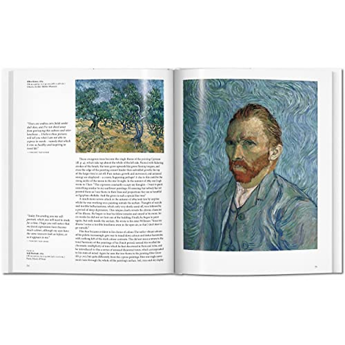 Vincent van Gogh: 1853-1890, Vision and Reality
