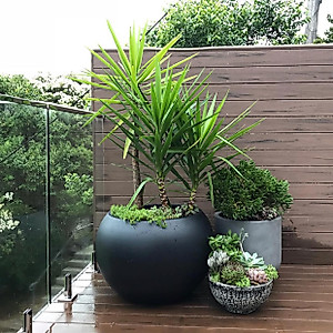 DTY Signature Mount Sherman 1-piece Fiberstone Planter for Indoor/Outdoor, Black, 10" H x 13" Dia (8" pot opening) - Small