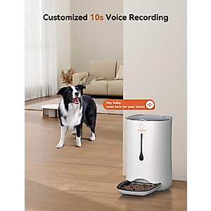 WOPET Automatic Cat Feeder with Camera,7L App Control Smart Feeder Cat Dog Food Dispenser,6-Meal Auto Pet Feeder with Timer Programmable,HD Camera for Voice and Video Recording