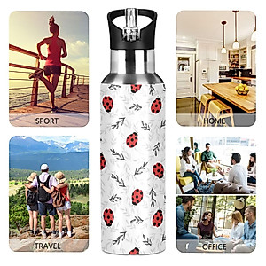 Ladybugs Funny Spring Pattern Insulated Water Bottle with Straw, Stainless Steel Sports Water Bottles, Double Wall Vacuum, Leakproof, BPA-Free 35 oz