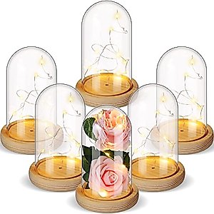 Remerry 6 Pieces Plastic Cloche Dome Plastic Dome Display Case with Rustic Wood Base and LED Fairy Light Jar for Rose Valentine's Day Wedding Tabletop Centerpiece Decoration, 6.5 x 3.7 Inch